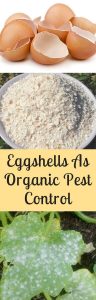 Eggshells As Organic Pest Control - Home Gardeners